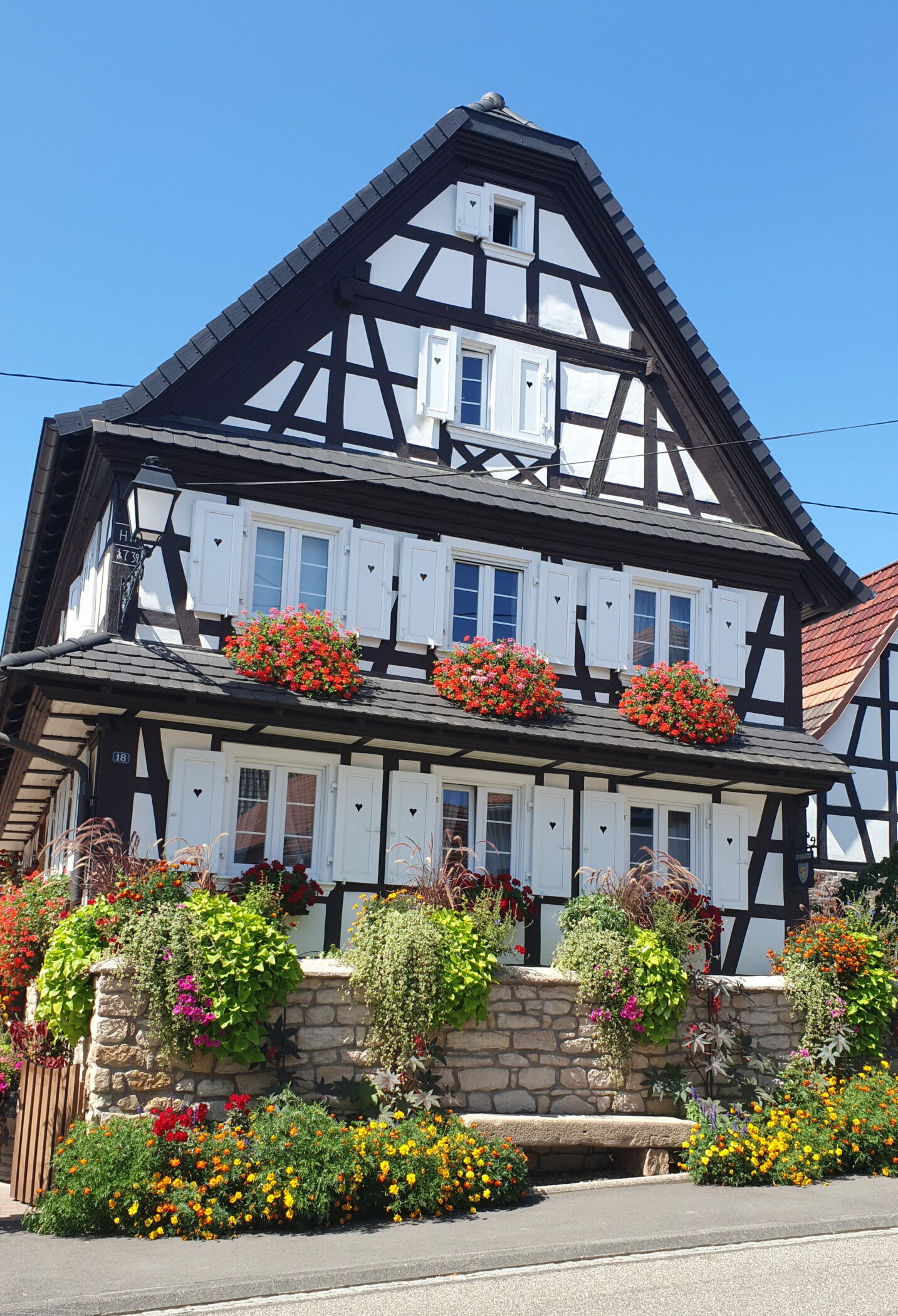 Jérôme Fischer, Langage fleuri – Maxi Flash - Haguenau - Journal d ...