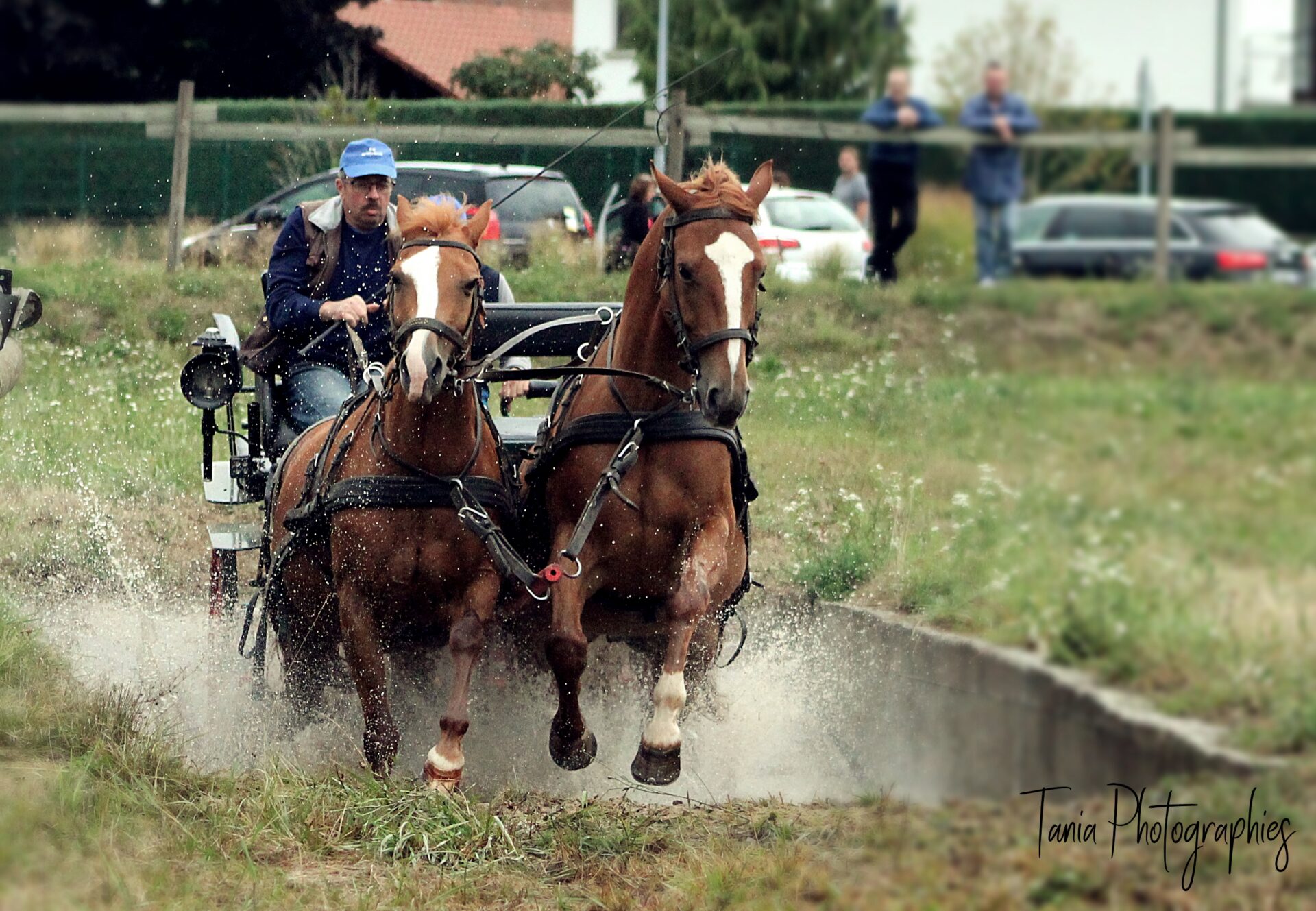 Jeux et défilés équestres pour monter sur ses petits ou grands chevaux ...