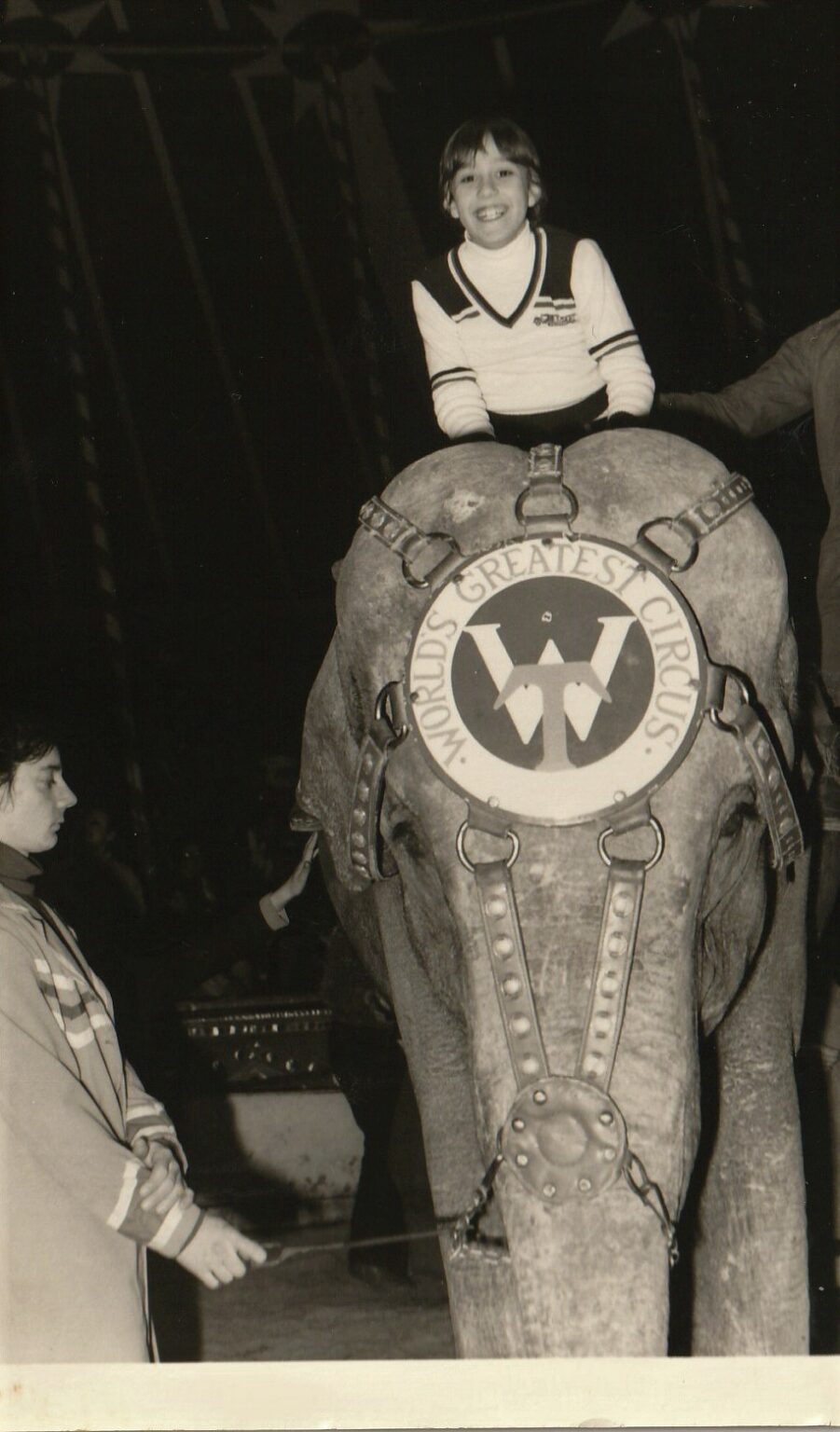 Du Tic au Tac #9 L’histoire de l’éléphant – Maxi Flash - Haguenau - Journal d'infos locales du ...