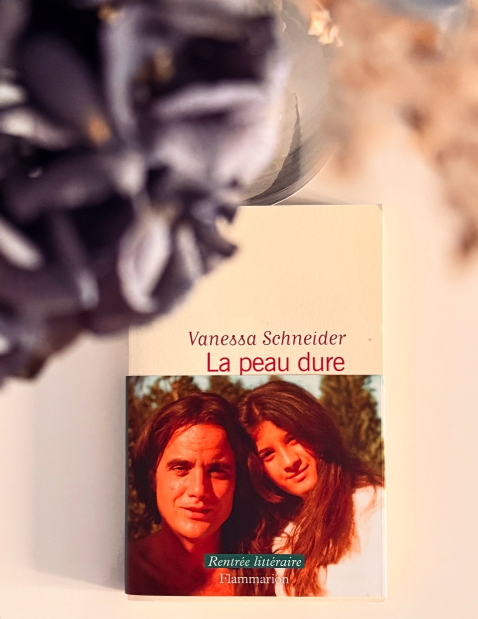 La peau dure de Vanessa Schneider – Maxi Flash - Haguenau - Journal d ...